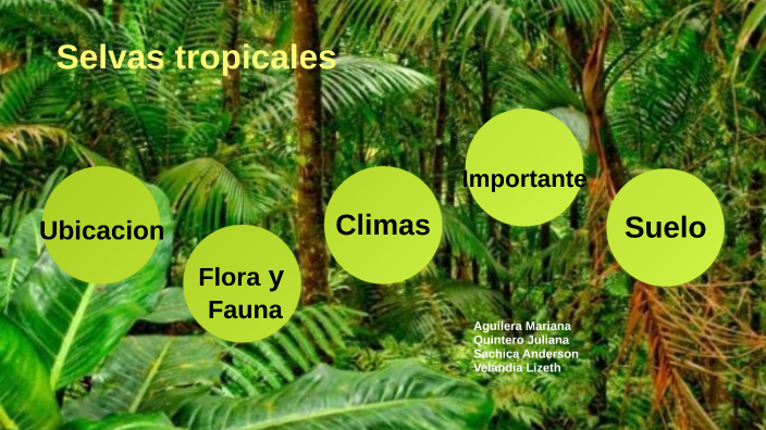Selvas Tropicales by Michel Martinez on Prezi