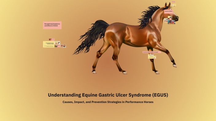 Understanding Equine Gastric Ulcer Syndrome (EGUS) by Madi Hedley on Prezi