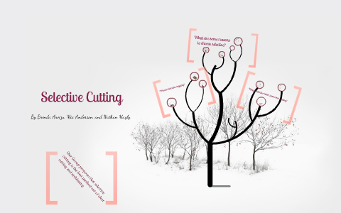 Selective Cutting by Mia Anderson on Prezi