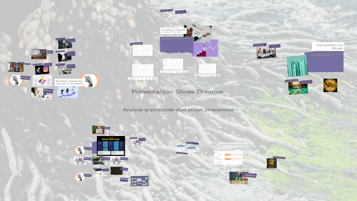 Présentation sur le Business Models de Canva by Bryan Riedle on Prezi