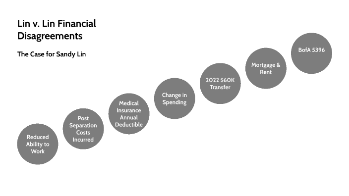 Sandy Lin Financial Presentation by John Duffy on Prezi