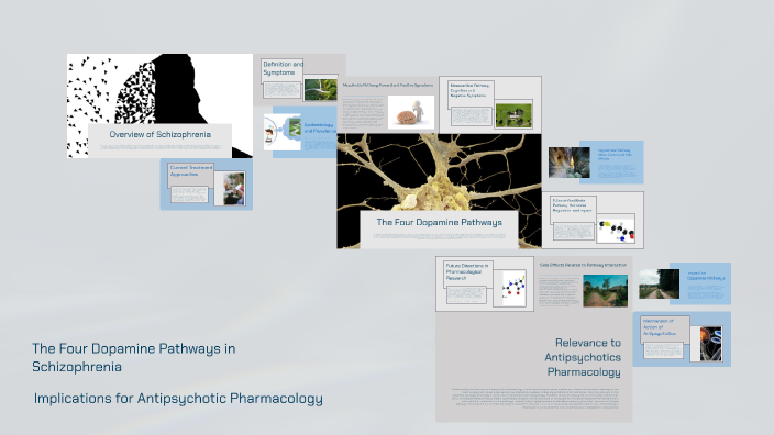 The Four Dopamine Pathways in Schizophrenia by Patricia Barranca on Prezi