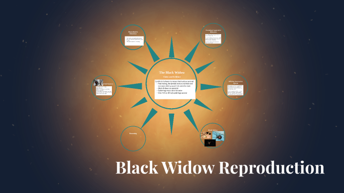 Black Widow Reproduction by Joplin Bradt on Prezi