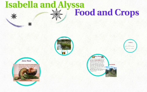 Food and Crops of the Maya, Inca, and Aztec by Alyssa Hoover on Prezi