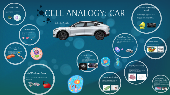 Cell Analogy Project: Car by Brizia Sanchez Aranda on Prezi