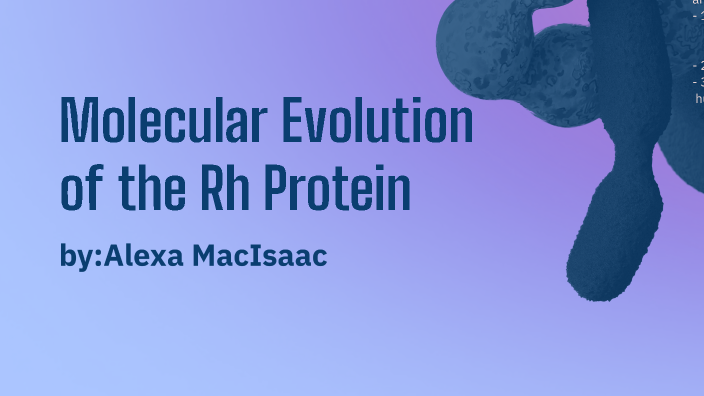 Rh Protein Evolution by Alexa MacIsaac on Prezi