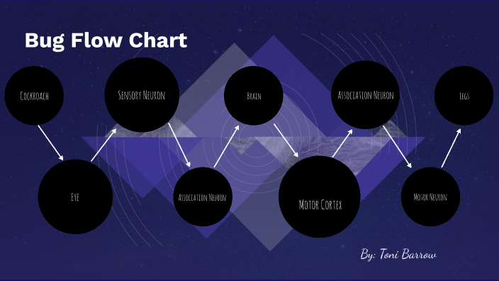 Bug Flow Chart Toni Barrow By Toni Barrow On Prezi 