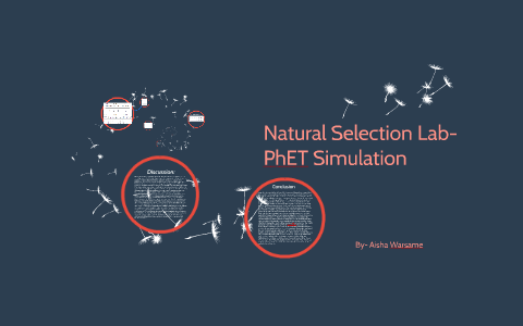 Natural Selection Lab- PhET Simulation by Aisha Warsame on Prezi