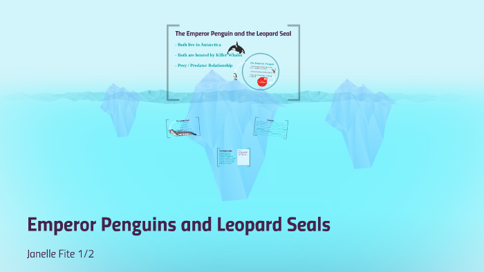 Emperor Penguins and Leopard Seals by Janelle F on Prezi
