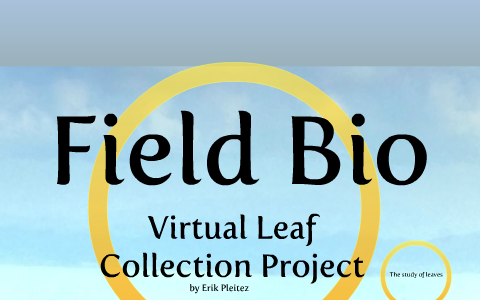 Virtual Leaf Collection Project by Erik Pleitez on Prezi