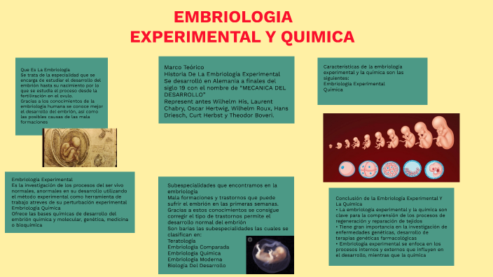 EMBRIOLOGIA by Yara Grace Elias Fabian on Prezi
