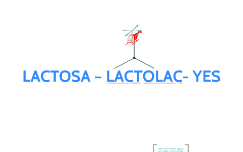 LACTOSA – LACTOLAC- YES by ely arenivar on Prezi