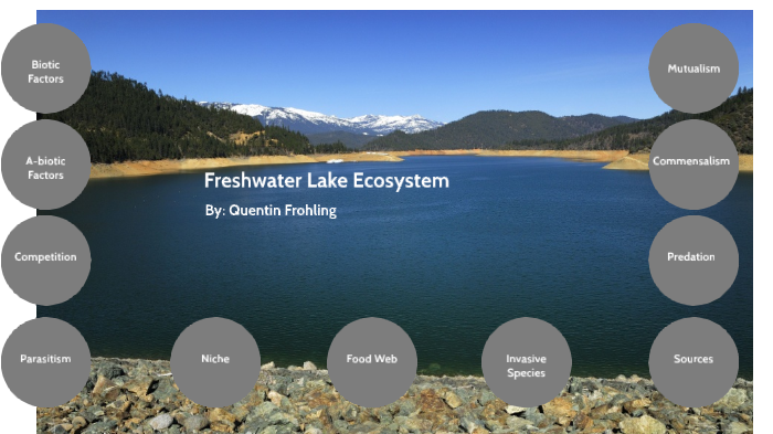 Freshwater Lake Ecosystem Project by Quentin Frohling on Prezi