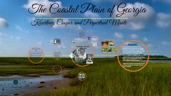 The Coastal Plain of Georgia by Kourtney Cooper on Prezi