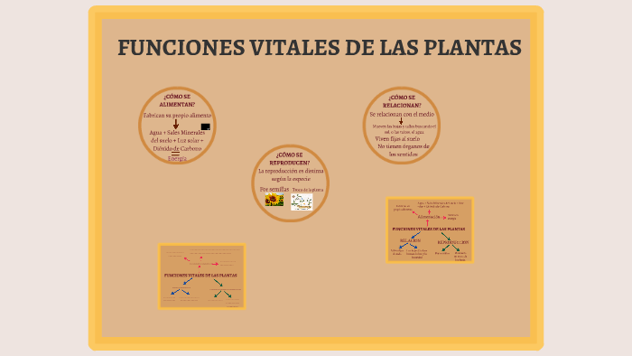 FUNCIONES VITALES DE LAS PLANTAS by Rafa Navarro on Prezi