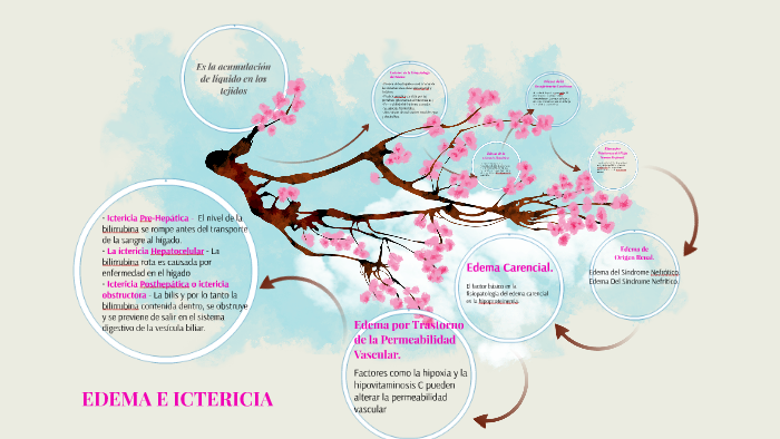 Es la acumulación de líquido en los tejidos by Joseph Onofre on Prezi