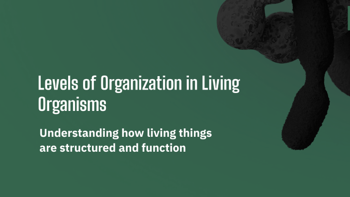 Levels of Organization in Living Organisms by Jacob Pearson [STUDENT ...