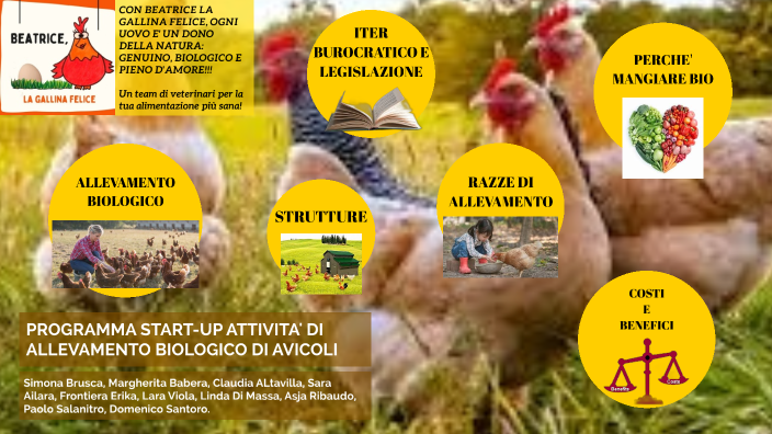 inizio attività allevamento biologico di avicoli by Simona Brusca on Prezi