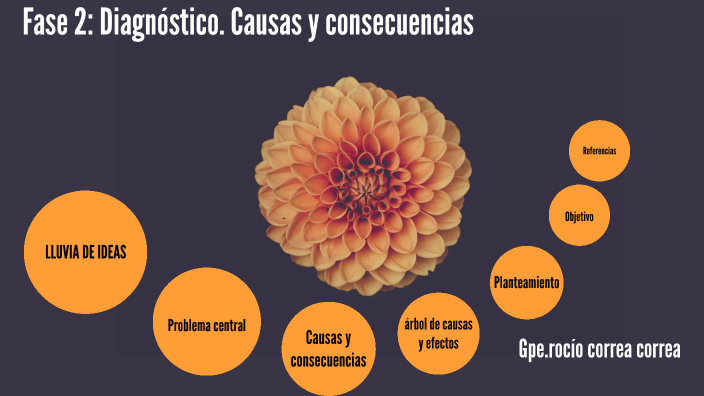 Fase 2: Diagnóstico. Causas y consecuencias by Rocio correa on Prezi