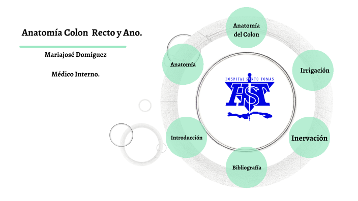 Anatomía Colon, recto, ano by Mariajose Dominguez on Prezi