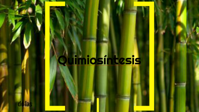 Quimiosintesis by Luis Jimenez on Prezi