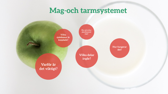 Mag-och tarmsystemet by Vilma Litens on Prezi