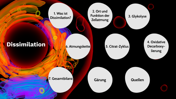 Dissimilation by Lukas Langlets on Prezi
