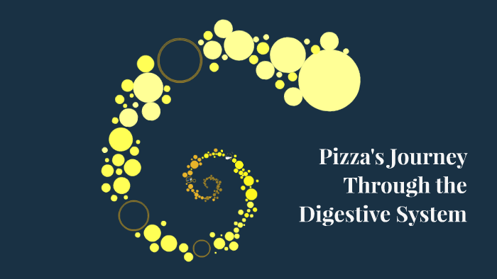 Pizza's Journey Through the Digestive System by Akshay Bhatt on Prezi
