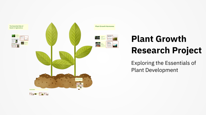 Plant Growth Research Project by Hannah Jacobs on Prezi