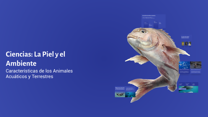 Ciencias: La Piel y el Ambiente by Milena Arauz on Prezi