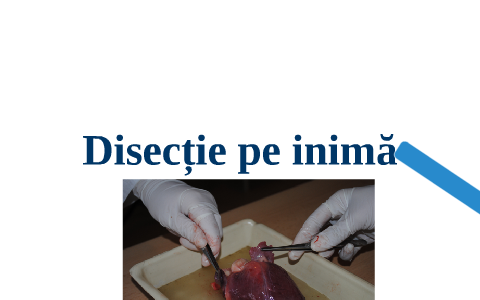 Disectie pe inima by gabriela vagai on Prezi