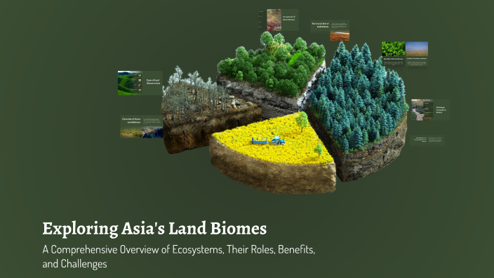 Exploring Asia's Land Biomes by Paula T. Bayana on Prezi