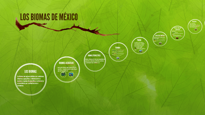 Los biomas de México by Majo Ponce on Prezi