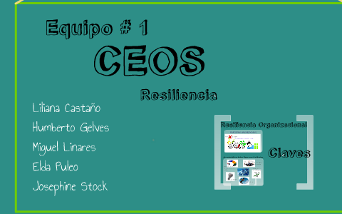 Figura 1. Ejemplo Diagrama Matriz Maximizada Ténica Flor de by Elda ...