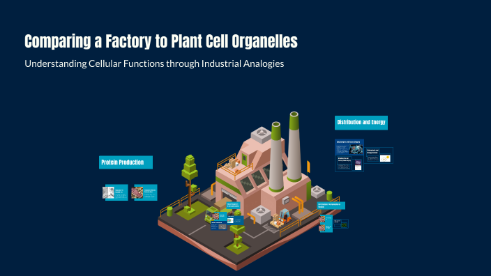 Comparing a Factory to Plant Cell Organelles by Jamal crawford on Prezi