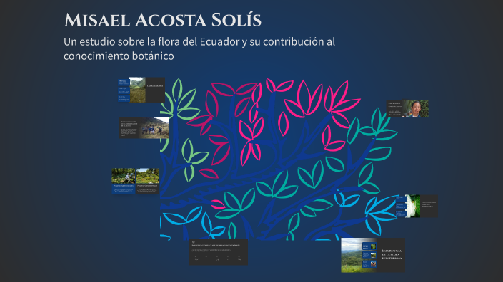 Misael Acosta Solís by karina villarreal on Prezi