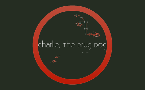 Board of Education v. Earls/Vernonia v. Acton by William McCue on Prezi