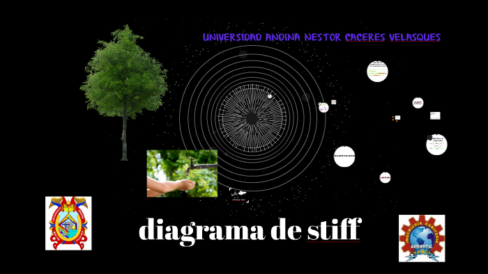 diagrama de stiff by hubert condori on Prezi
