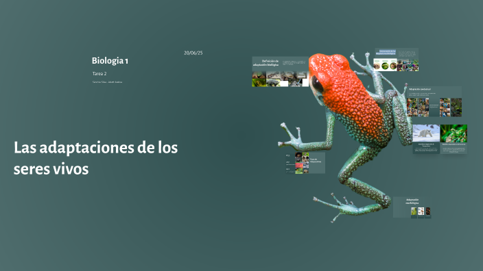 Adaptaciones Biológicas by Liz on Prezi