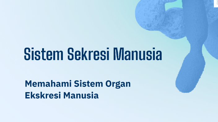 Sistem Sekresi Manusia by Maulida Nur Khasanah Yudfi' on Prezi