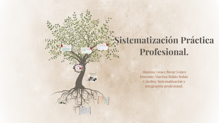 Sistematizacion Practica Profesional. by grace becar lopez on Prezi