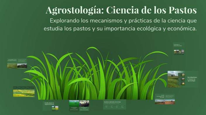 Agrostología: Ciencia de los Pastos by Manuel Adrian González Mejia on ...