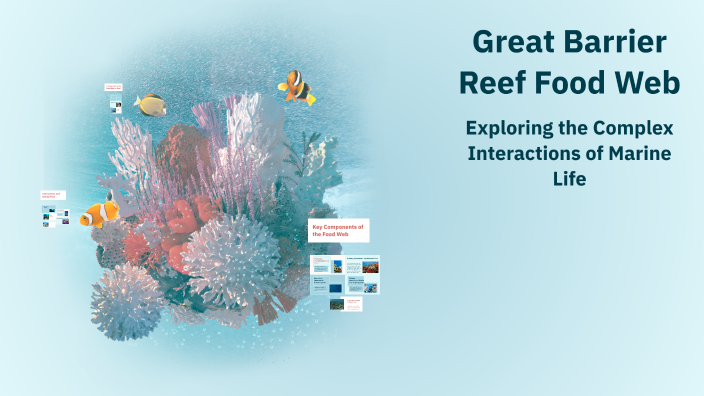 Great Barrier Reef Food Web by brax taylor on Prezi