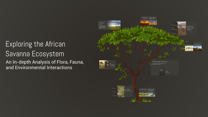 Exploring the African Savanna Ecosystem by Kavya Rithe on Prezi