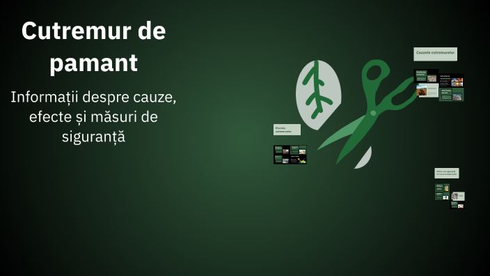 Cutremur de pamant by asu asilor on Prezi