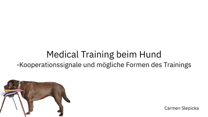 Medical Training beim Hund -Kooperationssignale und mögliche Formen des ...