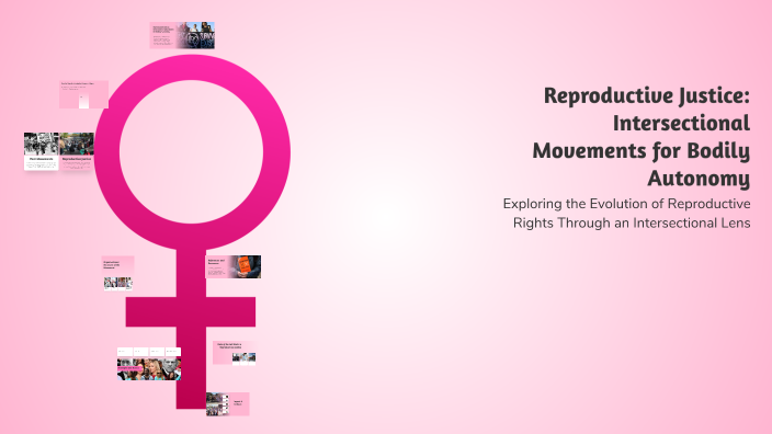 Reproductive Justice: Intersectional Movements for Bodily Autonomy by ...