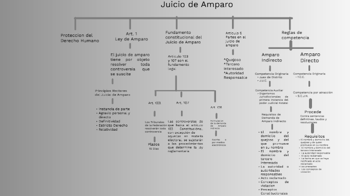 Juicio de Amparo by Bryan Castro on Prezi