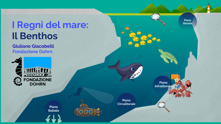 Giulianino il bentonico by Giuliano Giacobelli on Prezi