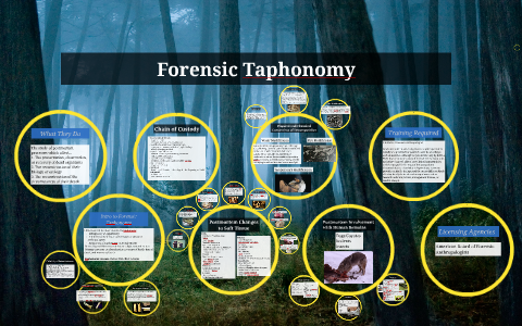 Forensic Taphonomy by on Prezi